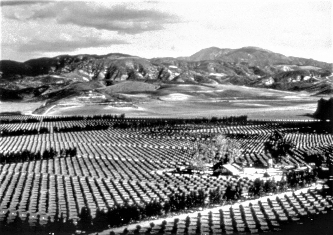 Irvine History Happy Hour: Secrets of the Irvine Ranch – Melissa Fox ...